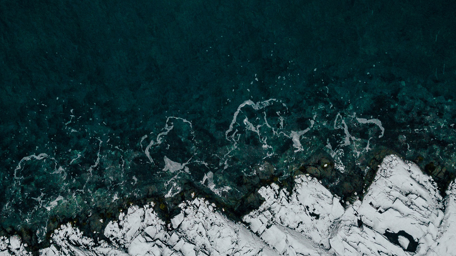 RHCCC – English Website