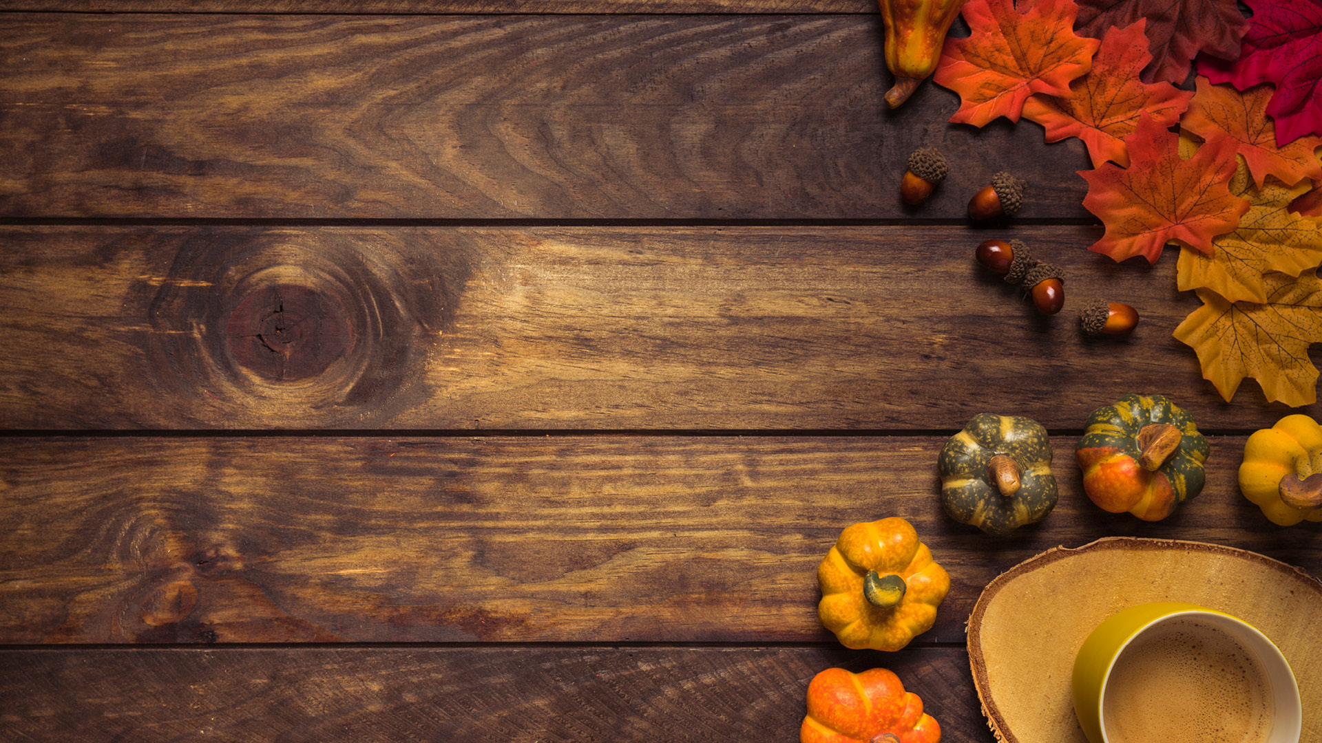 RHCCC – English Website